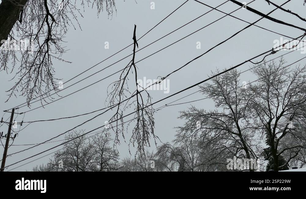 Broken branch hanging from power lines during freezing rain storm ...