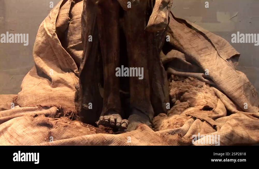 Prehistoric death culture Stock Videos & Footage - HD and 4K Video ...