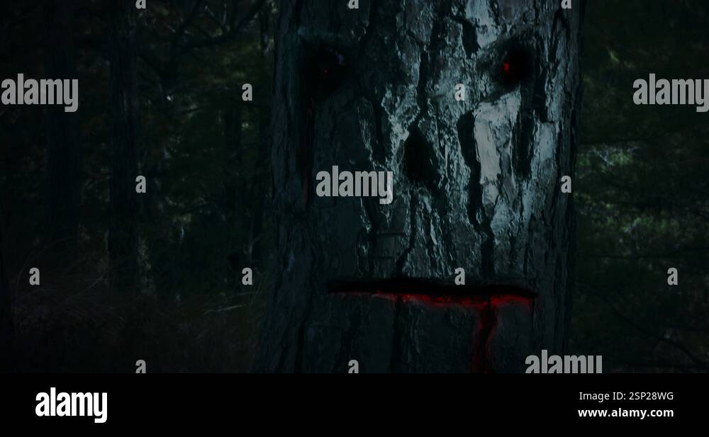 Scary tree face monster Stock Videos & Footage - HD and 4K Video Clips ...