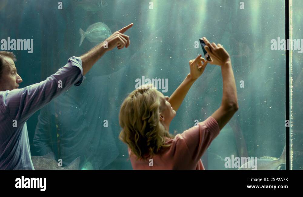 Family pointing at fish in the aquarium Stock Video Footage - Alamy