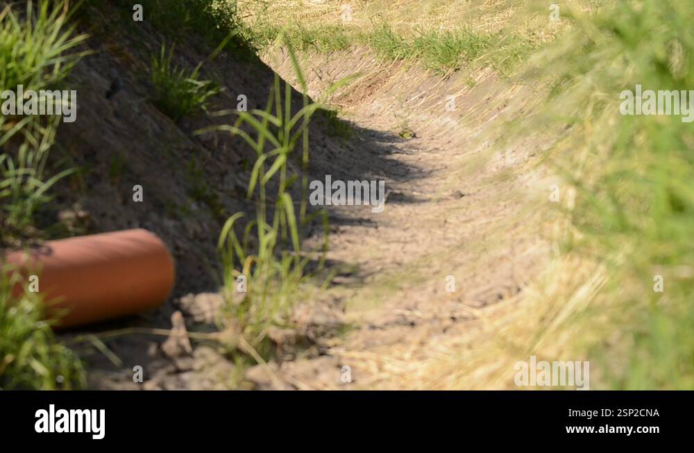 parched drainage channel with drain pipe, weather is dry,rack focus ...