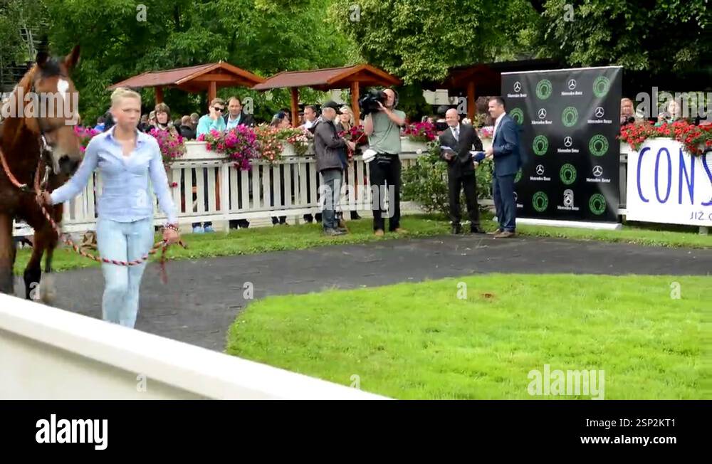 Prize ceremonies Stock Videos & Footage - HD and 4K Video Clips - Alamy