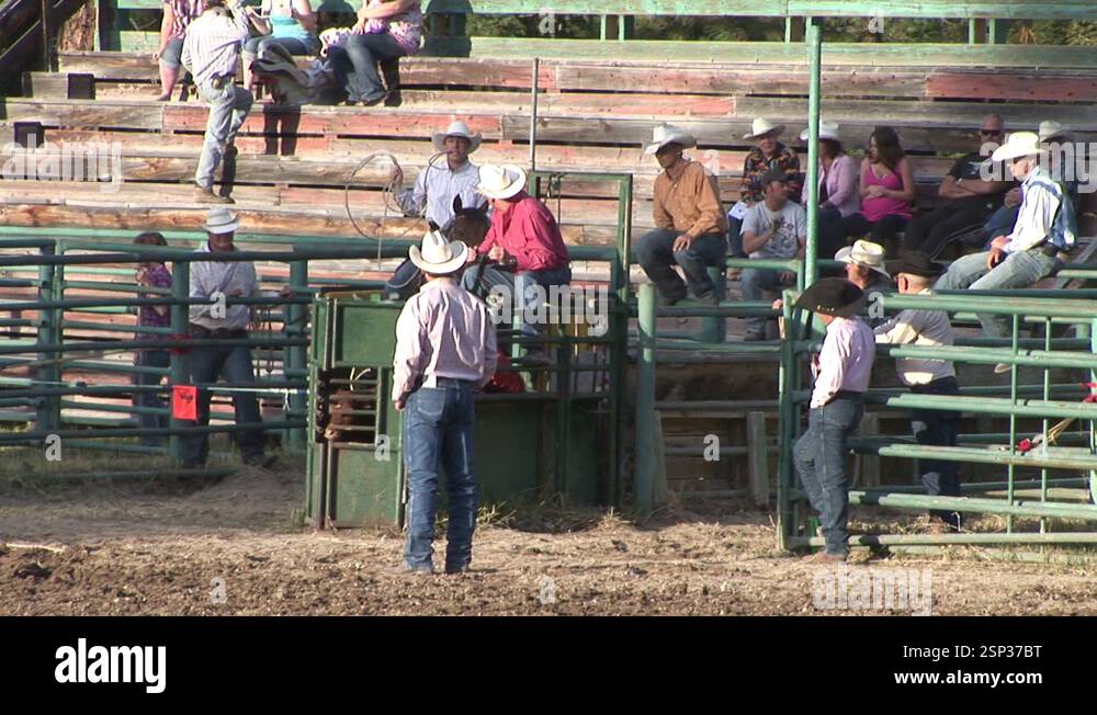 Women team roping calf rodeo Stock Videos & Footage - HD and 4K Video ...