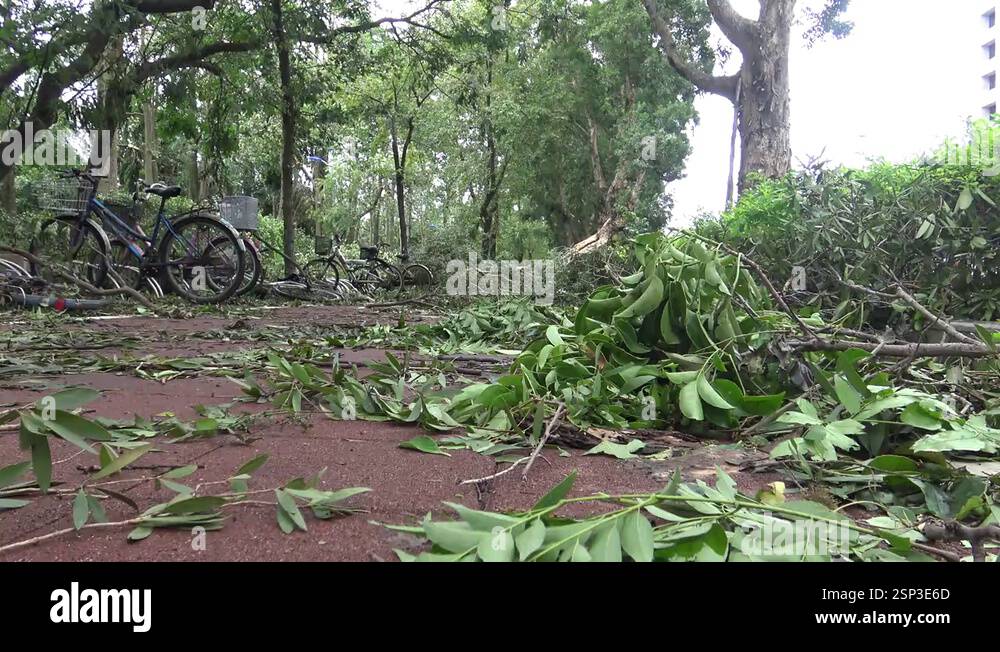 Bike Lane Damage After Tropical Storm Hits Taiwan, Typhoon Soudelor 4K ...