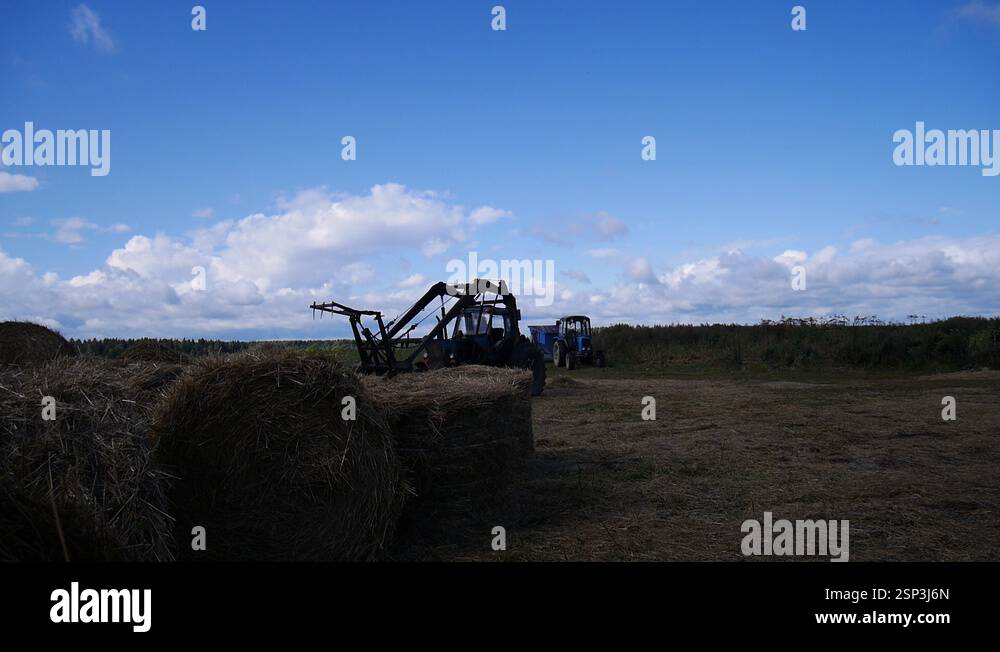 Tractor loading hay bales during agricultural works Stock Video Footage ...