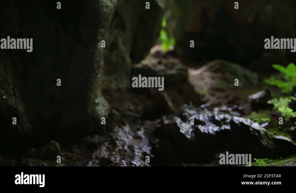 Jungle cave sliding scene dripping water Stock Video Footage - Alamy