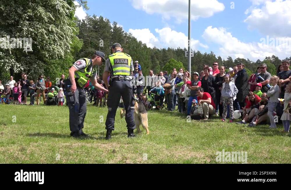 police man in uniform with trained dog performance for people audience. 4K Stock Video Footage ...