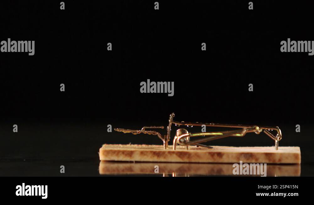 Ice trap Stock Videos & Footage - HD and 4K Video Clips - Alamy