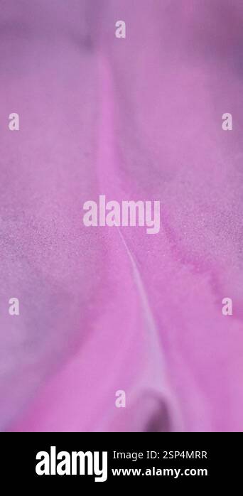 Vertical video. Glitter gel ink motion. Sparkling pink fluid paint ...
