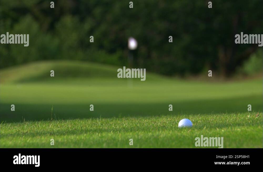 Making a pitch Stock Videos & Footage - HD and 4K Video Clips - Alamy