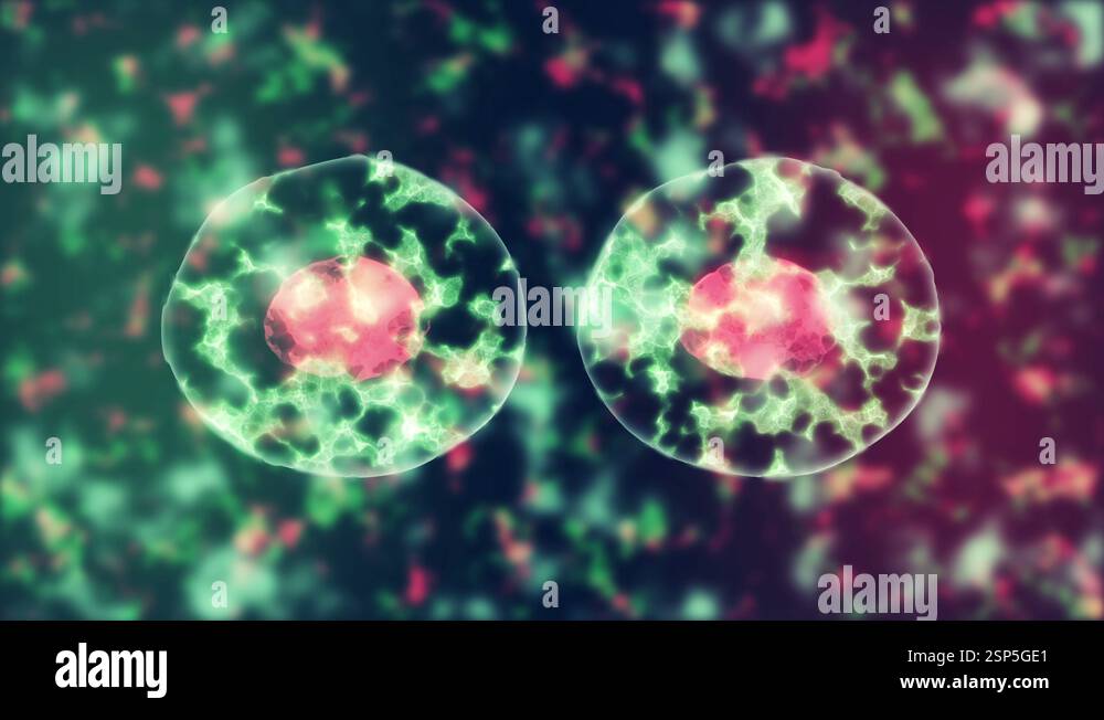 Cell division generic dividing stem Stock Videos & Footage - HD and 4K ...