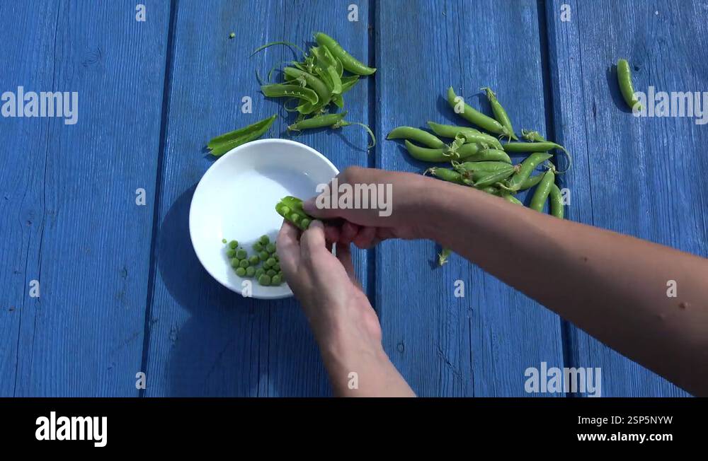 Woman hands husk pod green Stock Videos & Footage - HD and 4K Video ...