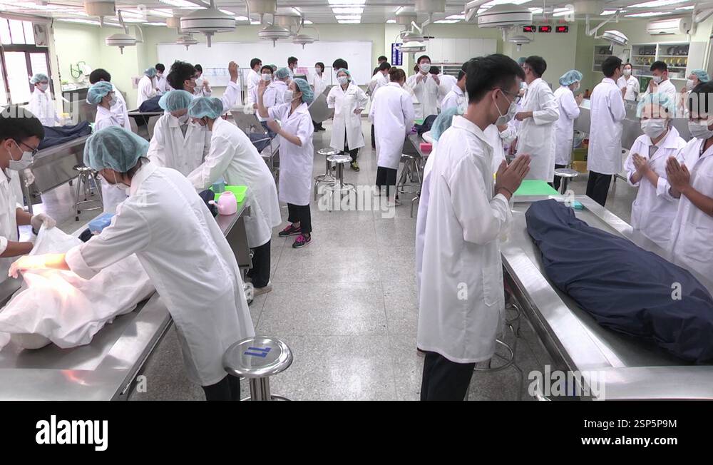 Students completing Stock Videos & Footage - HD and 4K Video Clips - Alamy