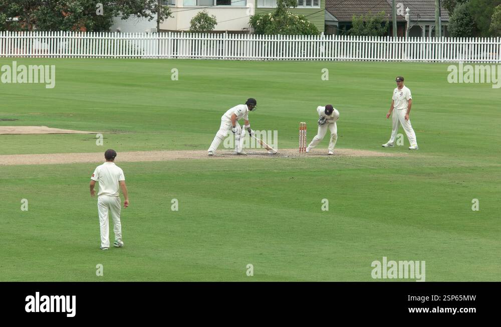 Cricketer fielding Stock Videos & Footage - HD and 4K Video Clips - Alamy