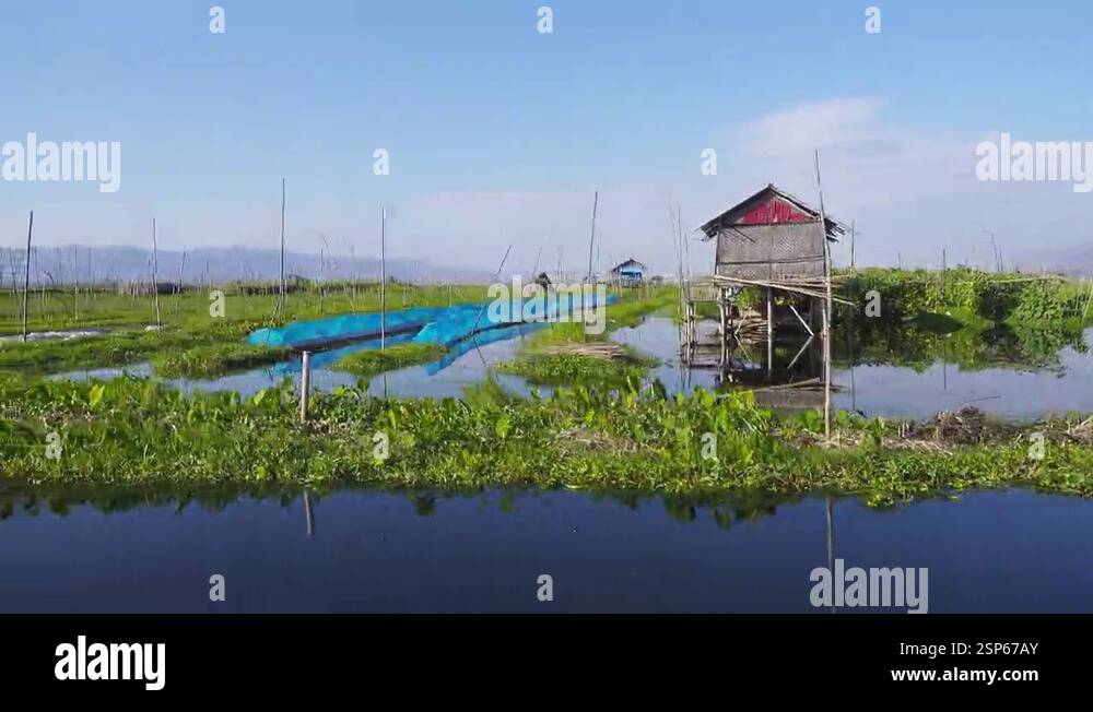 Floating gardens on inle Stock Videos & Footage - HD and 4K Video Clips ...