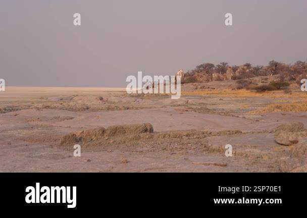 Pan on Kubu island with rocks and baobab tree in Botswana, Africa Stock ...