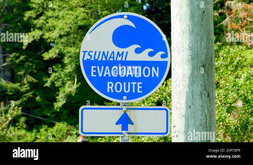 Safety sign tidal wave Stock Videos & Footage - HD and 4K Video Clips ...