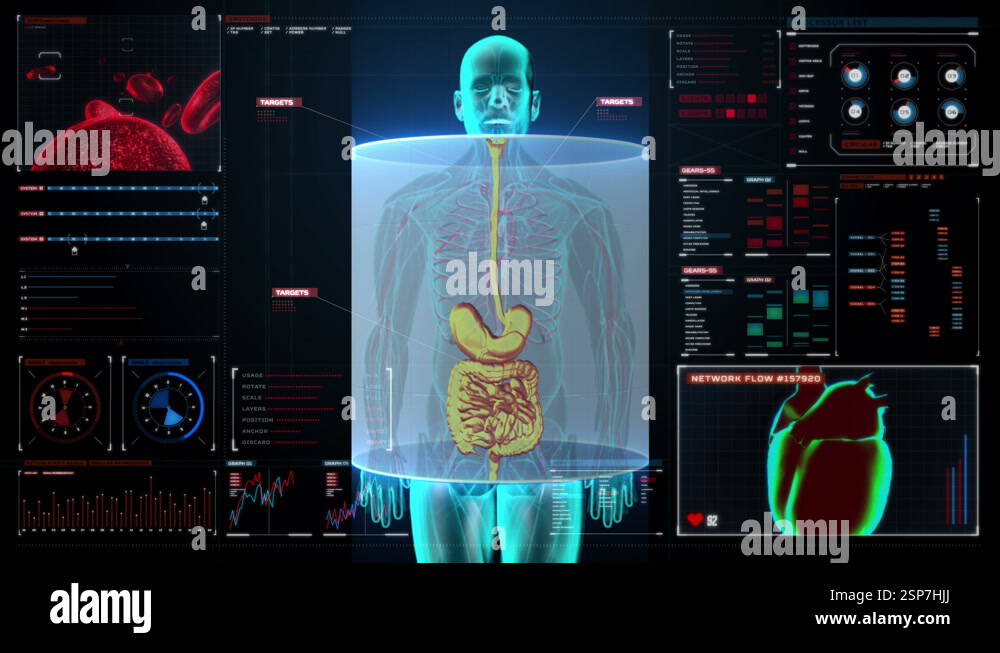 Human the internal organs, Digestion in digital display dashboard ...