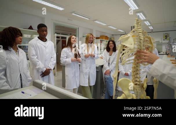 Medical students wearing white coats examining detailed anatomical skeleton model during ...