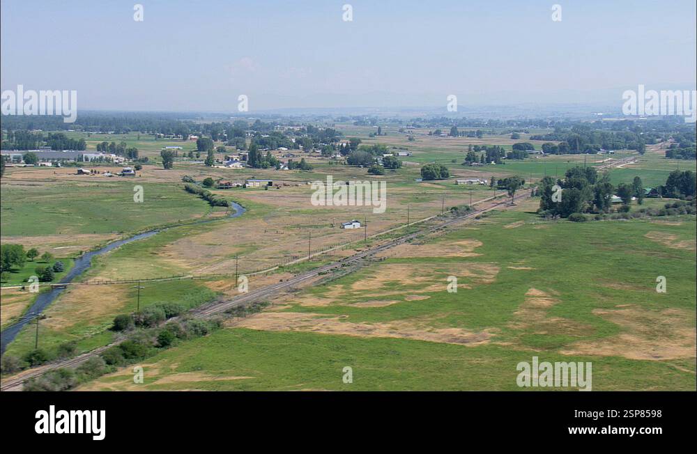 Selway bitterroot Stock Videos & Footage - HD and 4K Video Clips - Alamy