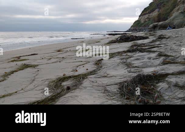 The cool melted rocks of Swamis Beach. Erosion control boulders put ...
