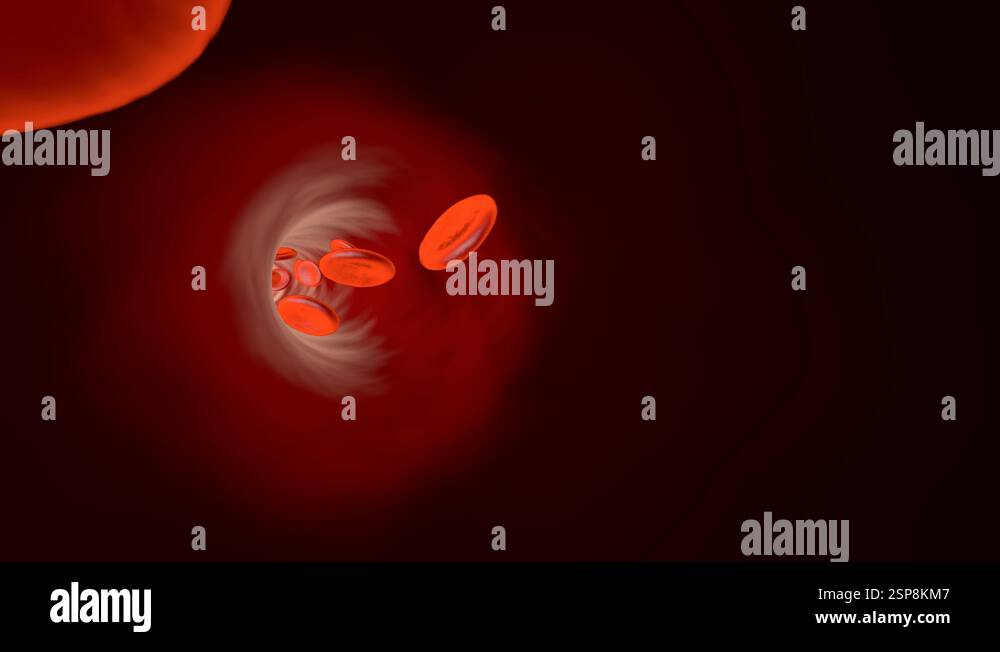 Flowing erythrocyte cells in artery Stock Videos & Footage - HD and 4K ...