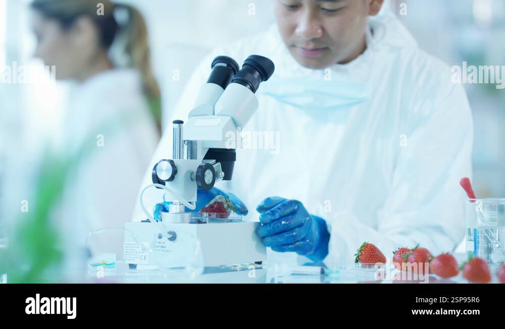 4K Food science researchers working in lab, man injecting chemicals into fruit Stock Video ...