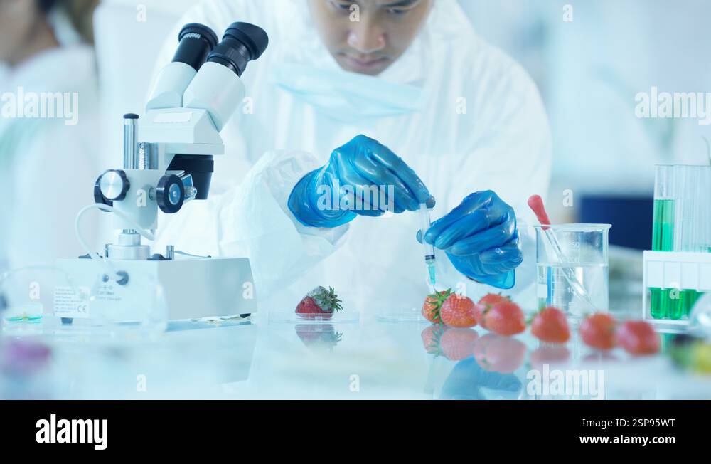 4K Food science researchers working in lab, man injecting chemicals into fruit Stock Video ...