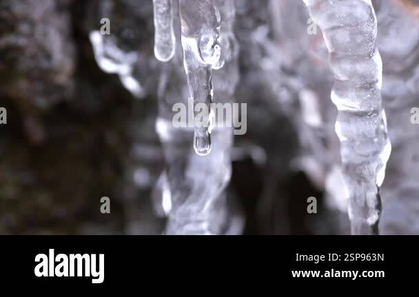 Ice melting into water Stock Videos & Footage - HD and 4K Video Clips ...