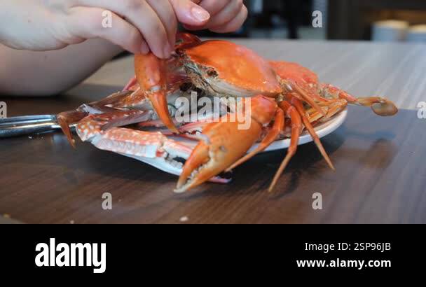 Hands cutting raw crab seafood Stock Videos & Footage - HD and 4K Video ...