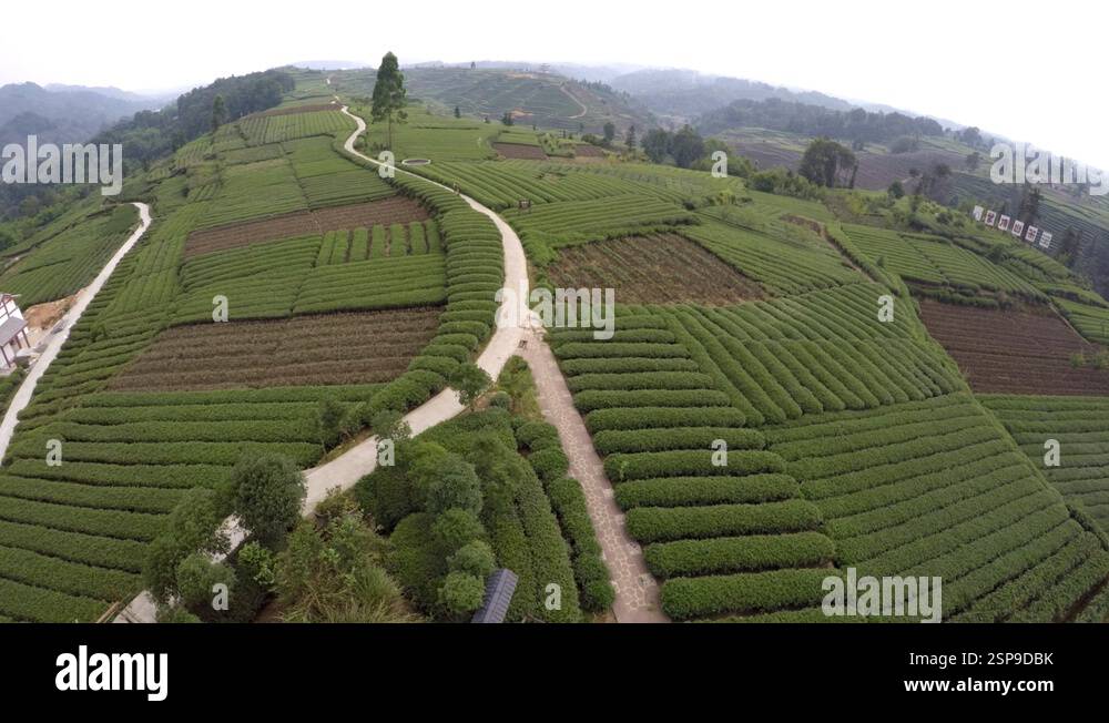 China terrace Stock Videos & Footage - HD and 4K Video Clips - Alamy