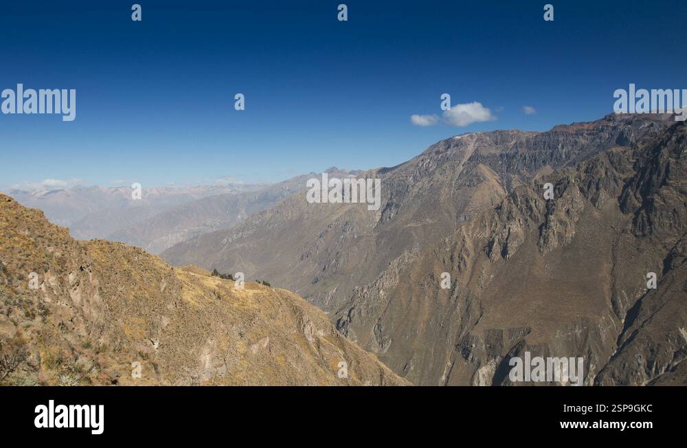 Colca canyon wildlife Stock Videos & Footage - HD and 4K Video Clips ...