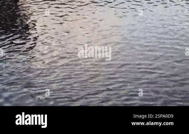 Fluidity in nature Stock Videos & Footage - HD and 4K Video Clips - Alamy