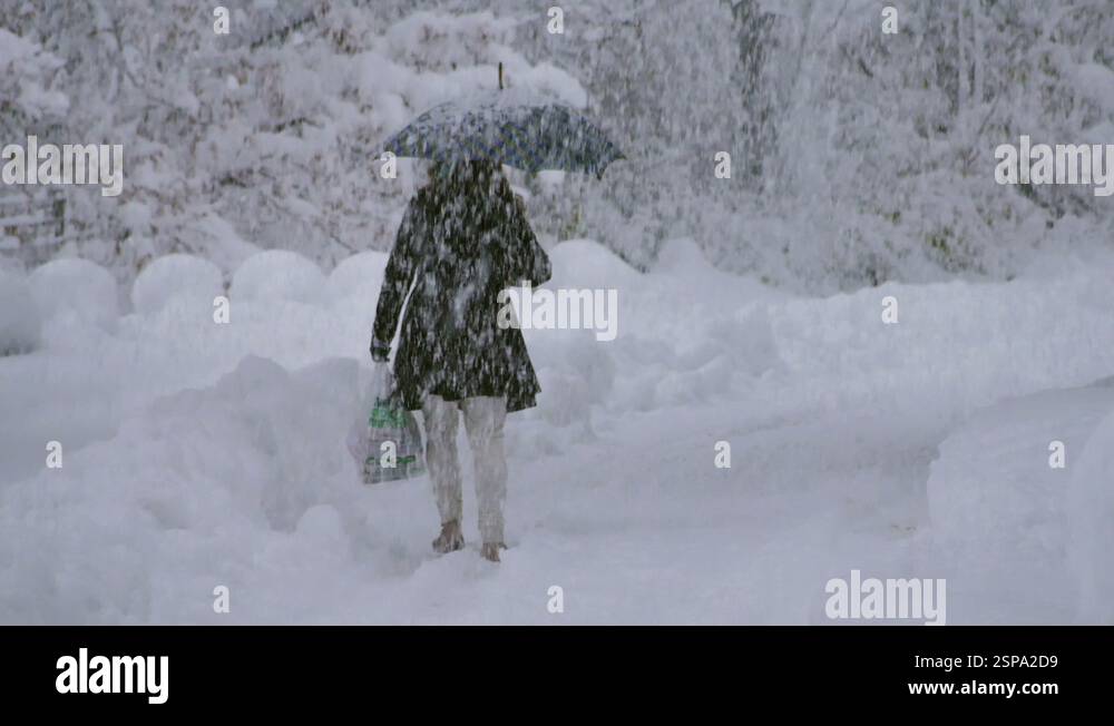 Woman walking snowstorm Stock Videos & Footage - HD and 4K Video Clips ...