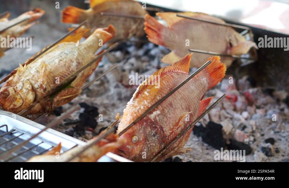 Whole fish roasting machine, red fish grill with charcoal Stock Video ...