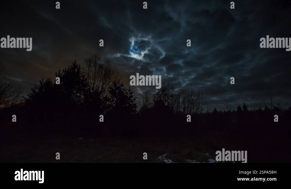 Full moon over forest Stock Videos & Footage - HD and 4K Video Clips ...