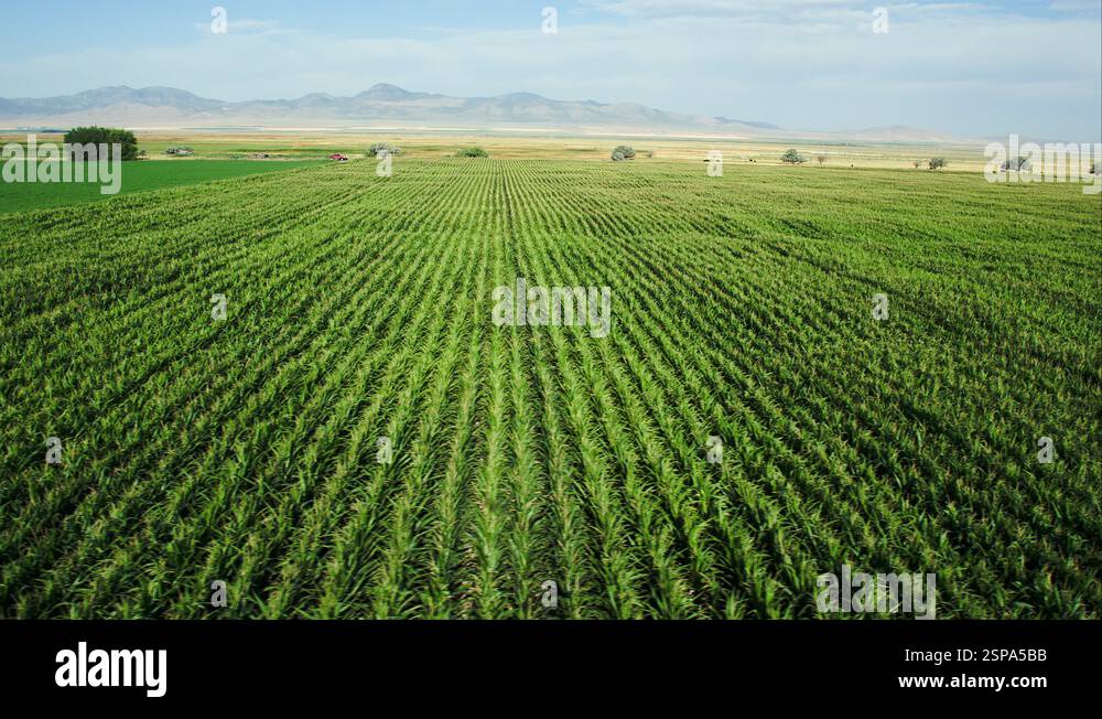 Sideways pan Stock Videos & Footage - HD and 4K Video Clips - Alamy