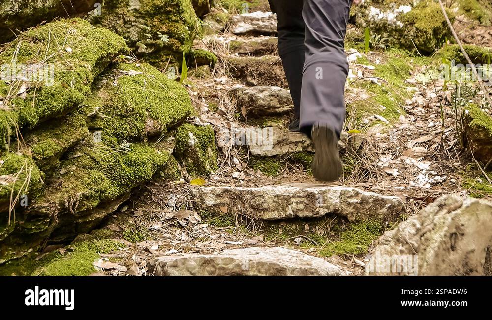 Steps along hiking trail Stock Videos & Footage - HD and 4K Video Clips ...