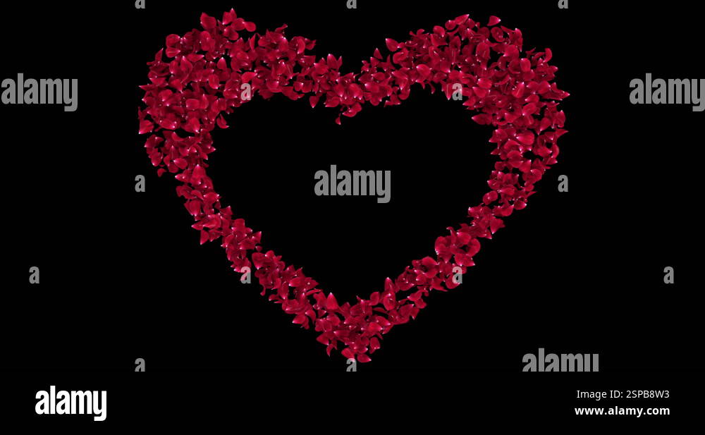 Red Rose Flower Petals In Heart Shape Alpha Matte Placeholder Loop 4k ...
