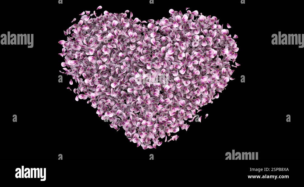 Romantic Pink Rose Sakura Flower Petals In Heart Shape Alpha Matte Loop ...