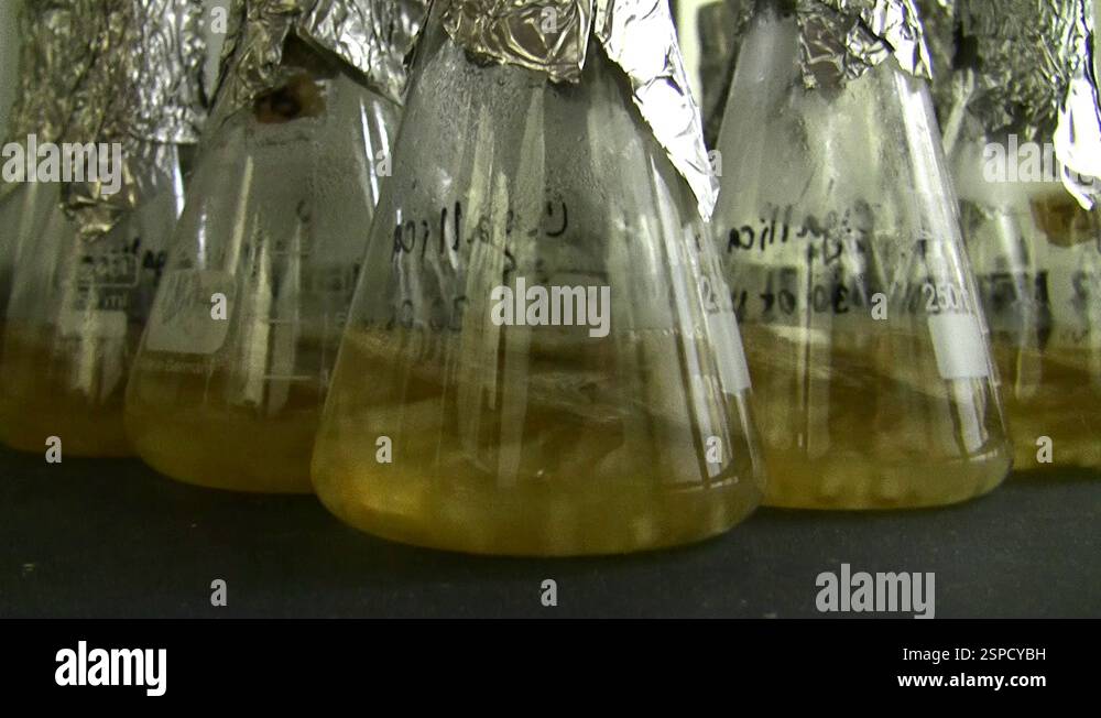 Microbial equipment Stock Videos & Footage - HD and 4K Video Clips - Alamy