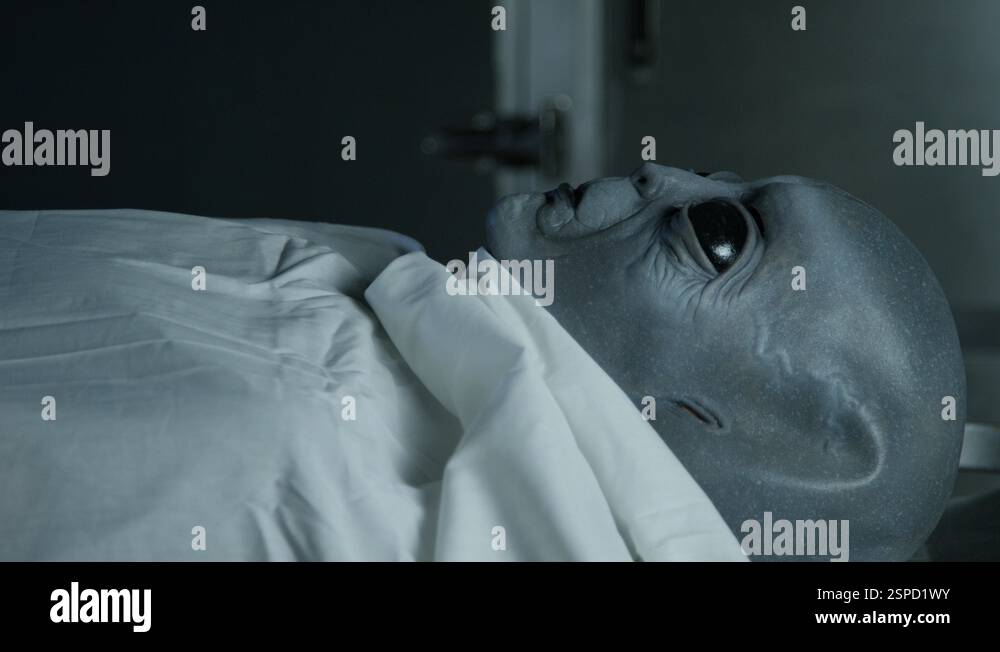 Roswell alien autopsy Stock Videos & Footage - HD and 4K Video Clips ...