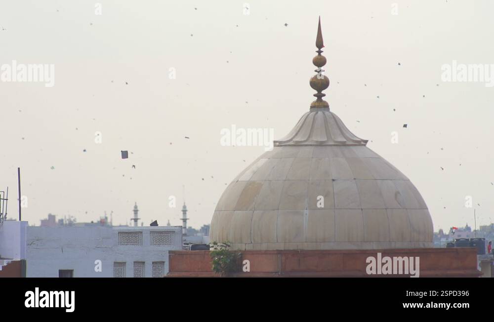 India's Republic Day in Jama Masjid Stock Video Footage - Alamy