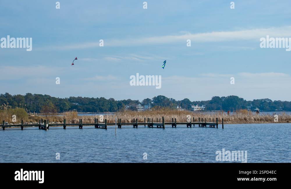 Kitty hawk flying Stock Videos & Footage - HD and 4K Video Clips - Alamy