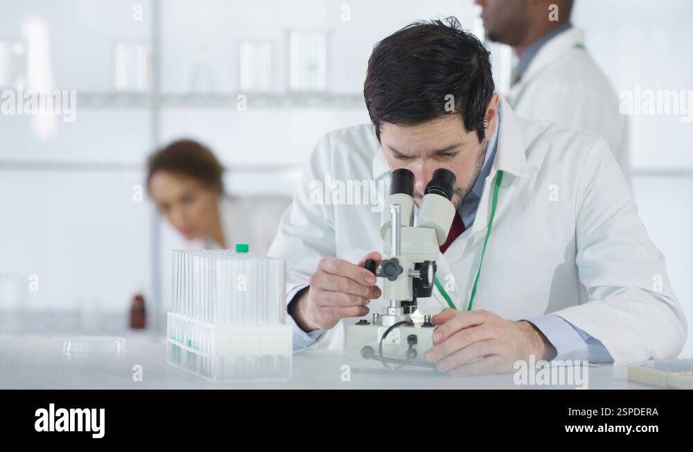 4K Research scientist working in laboratory, looking at sample under ...