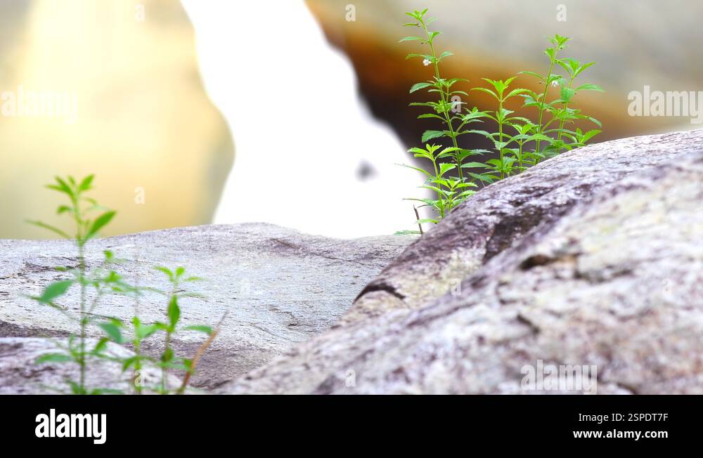 Tukuran River With Waterfalls, On The Island Of Mindoro Philippines, 4k ...