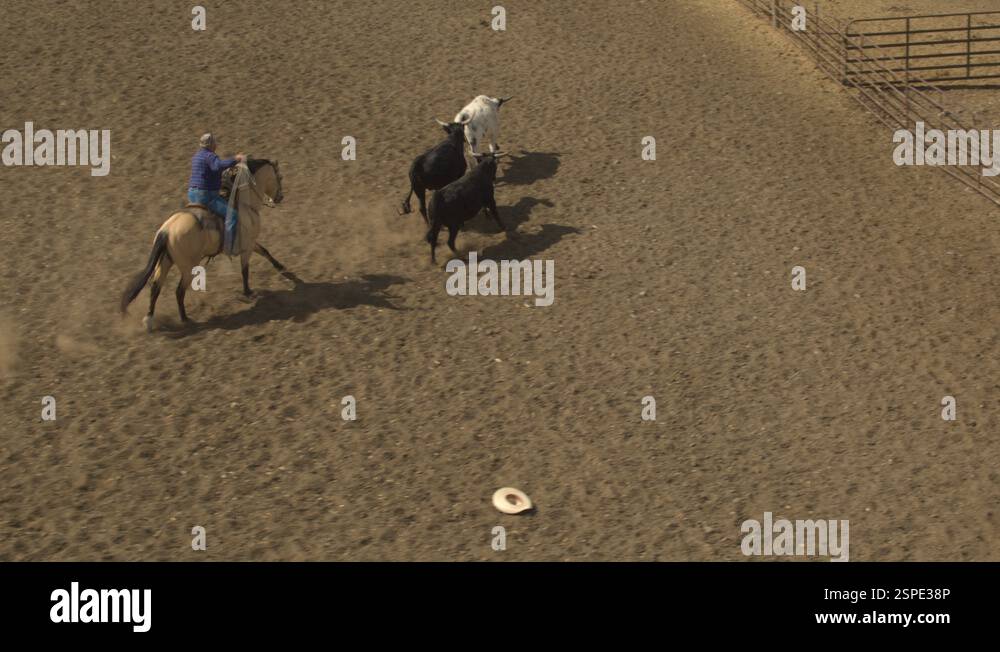 Cowboy lassoing Stock Videos & Footage - HD and 4K Video Clips - Alamy