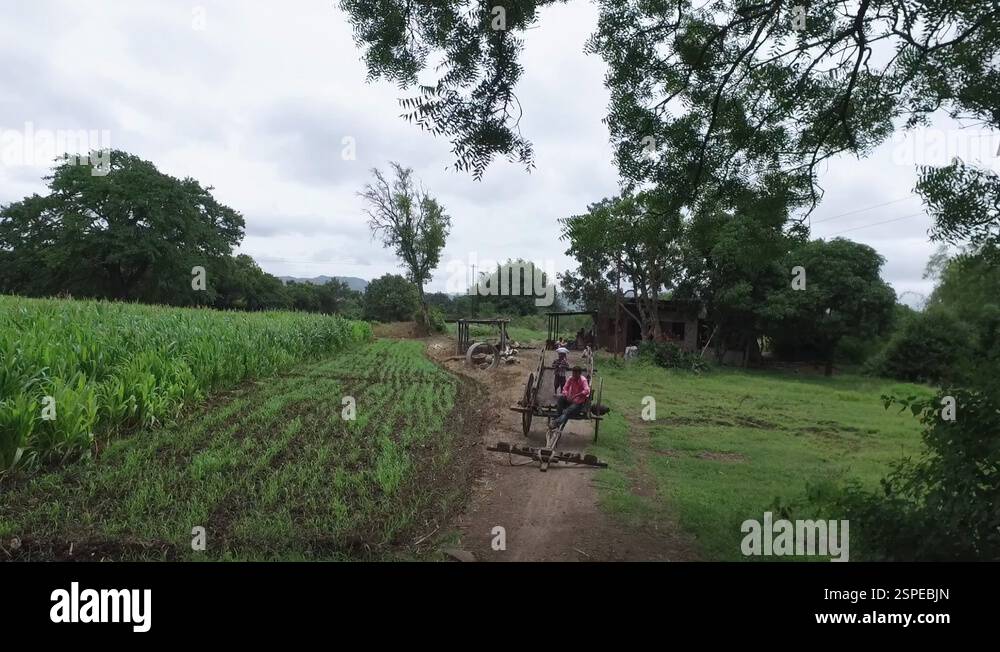 footage of real farmer family in small village using modern technology ...