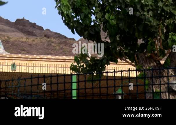 Vertical shot wooden tree Stock Videos & Footage - HD and 4K Video ...