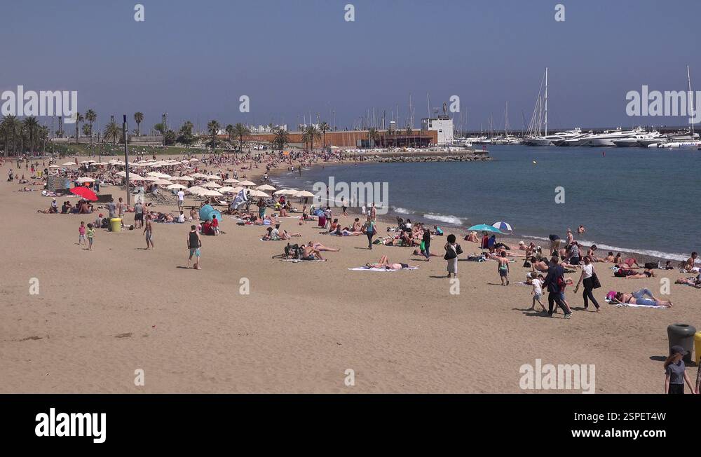 Sun tanning beaches Stock Videos & Footage - HD and 4K Video Clips - Alamy